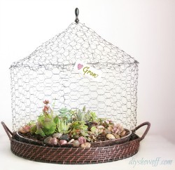 DIY Wire Cloche Succulent Garden TerrariumDIY Show Off ™ – DIY ...