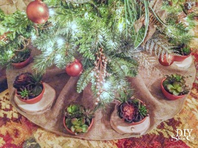 Succulents & Spruce Christmas Tree {Dream Tree Challenge} - DIY Show ...