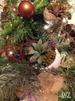 Succulents & Spruce Christmas Tree {Dream Tree Challenge} - DIY Show ...