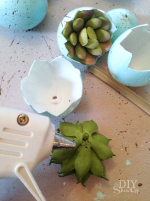 Spring Succulents Arrangement - DIY Show Off ™ - DIY Decorating and ...