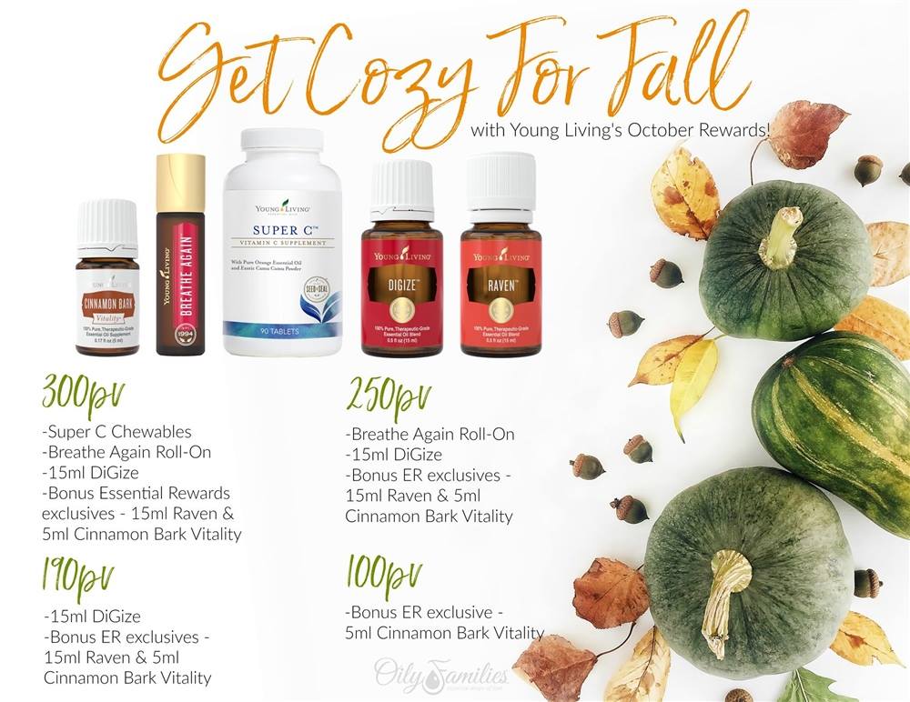 October Promo - DIY Show Off ™ - DIY Decorating and Home Improvement ...