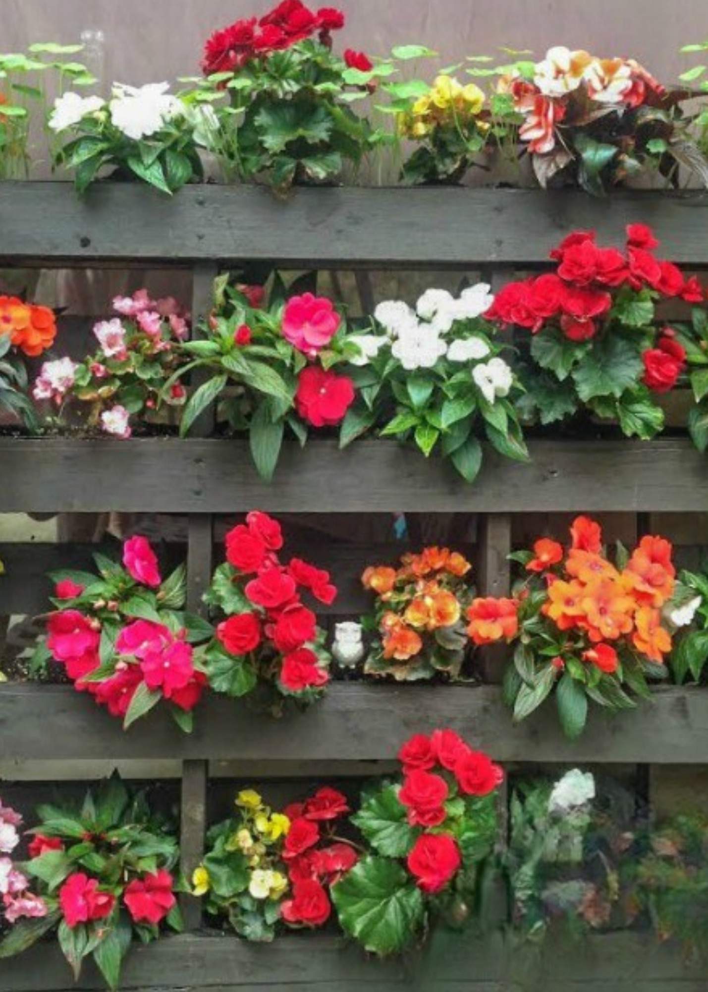 Build a Beautiful Pallet Flower Planter + Blog Updates - DIY Show Off ...